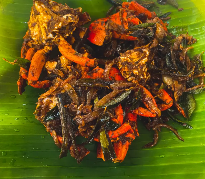Collection | Pepper Life | Travel Agency In Colombo