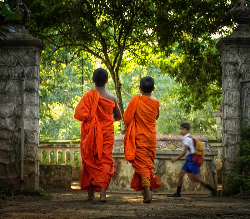 Collection | Pepper Life | Travel Agency In Colombo