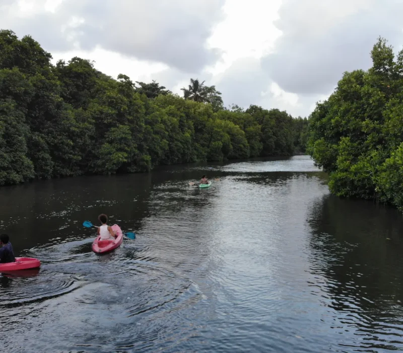 Kayak & Cycling Adventure | Pepper Life | Travel Agency In Colombo